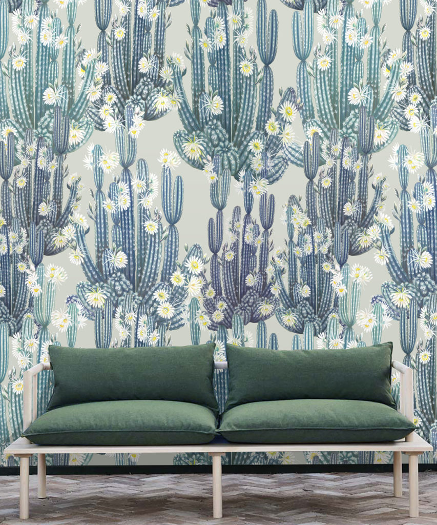San Pedro Wallpaper • Cactus Flower Wallpaper • Milton & King