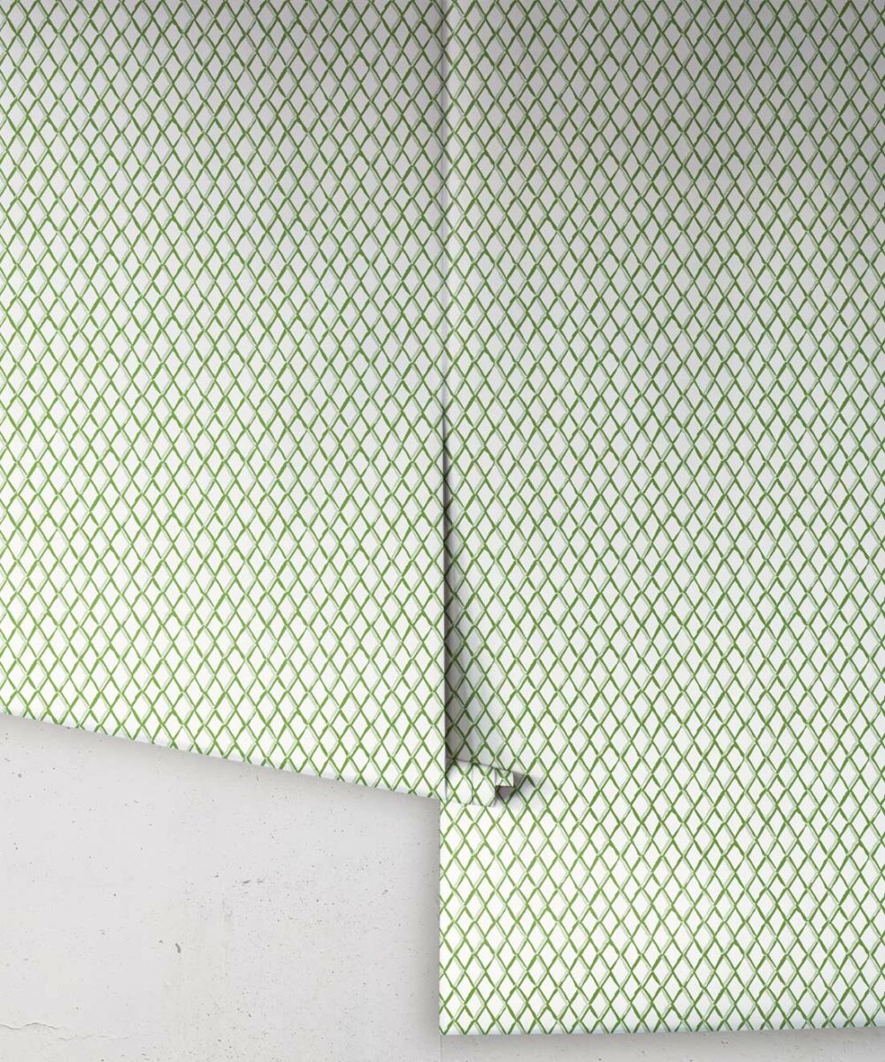 Lexington Wallpaper • Contemporary Trellis Design • Milton & King