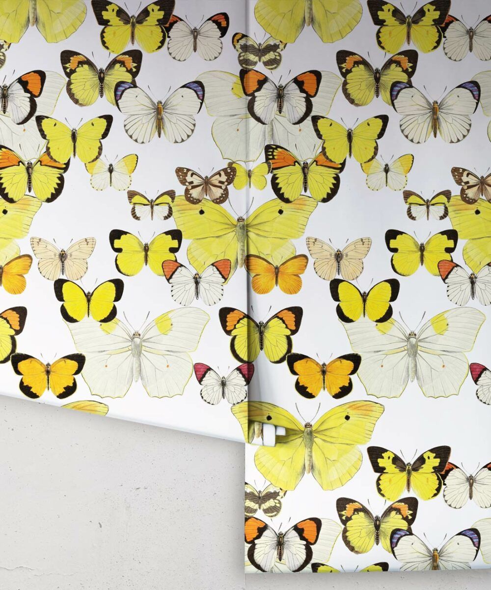 Papillon Medley • Bright Butterfly Wallpaper • Milton & King