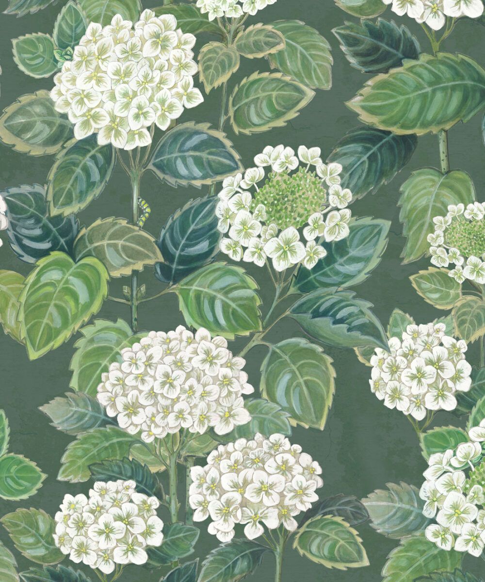 Hydrangea Garden Wallpaper • Gorgeous Florals • Milton & King