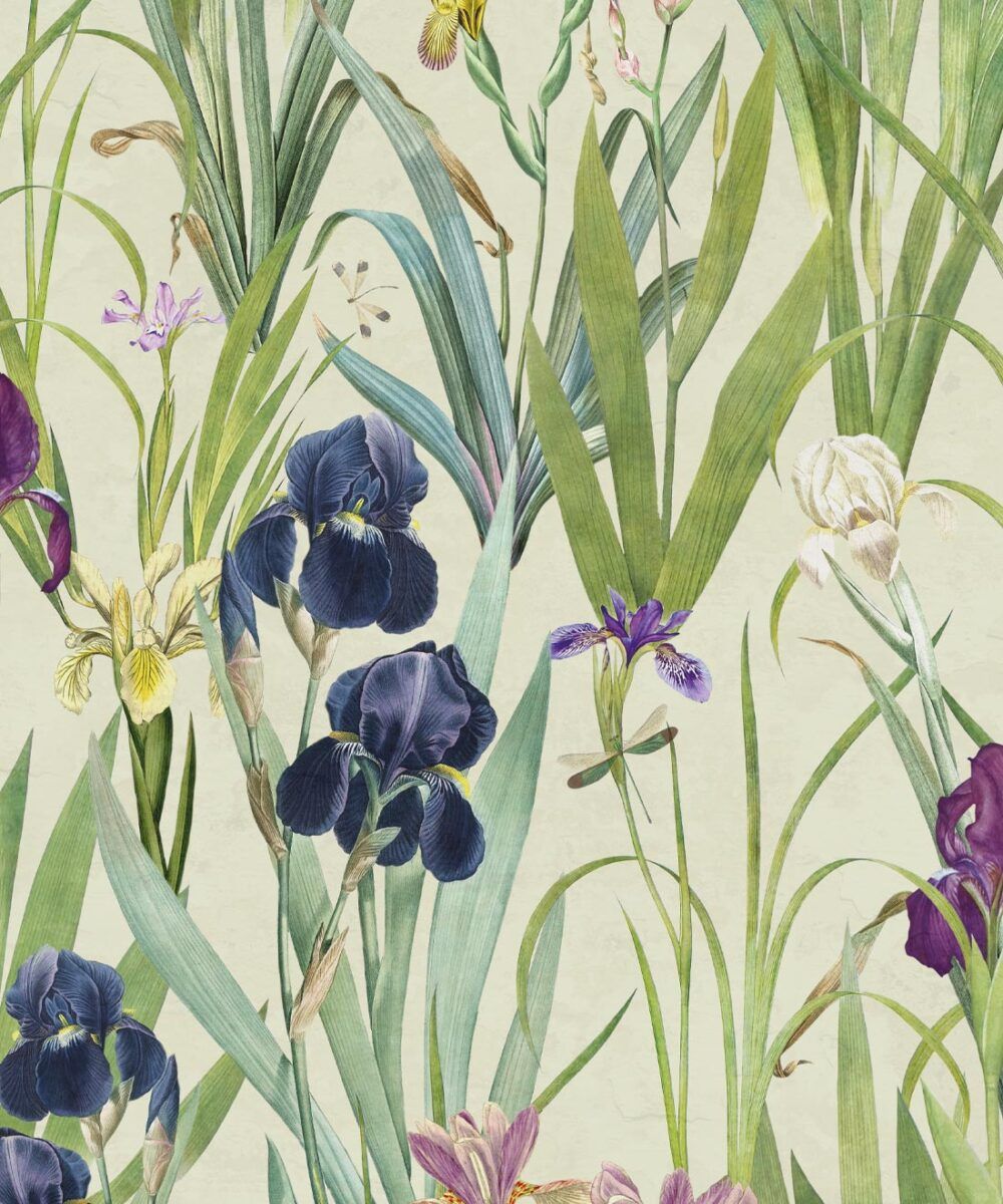 Iris Wallpaper • Floral Botanical Wallpaper • Milton & King USA