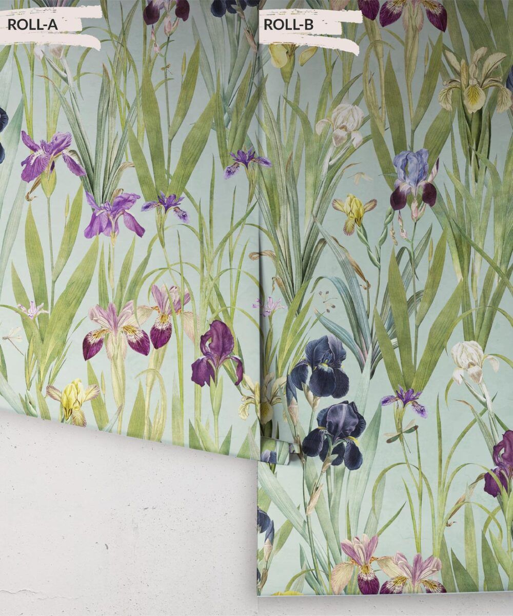 Iris Wallpaper • Floral Botanical Wallpaper • Milton & King USA