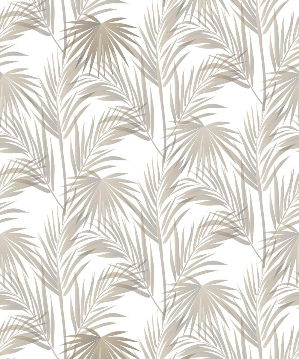 Daintree Palm Wallpaper • Botanical Palms • Milton & King USA
