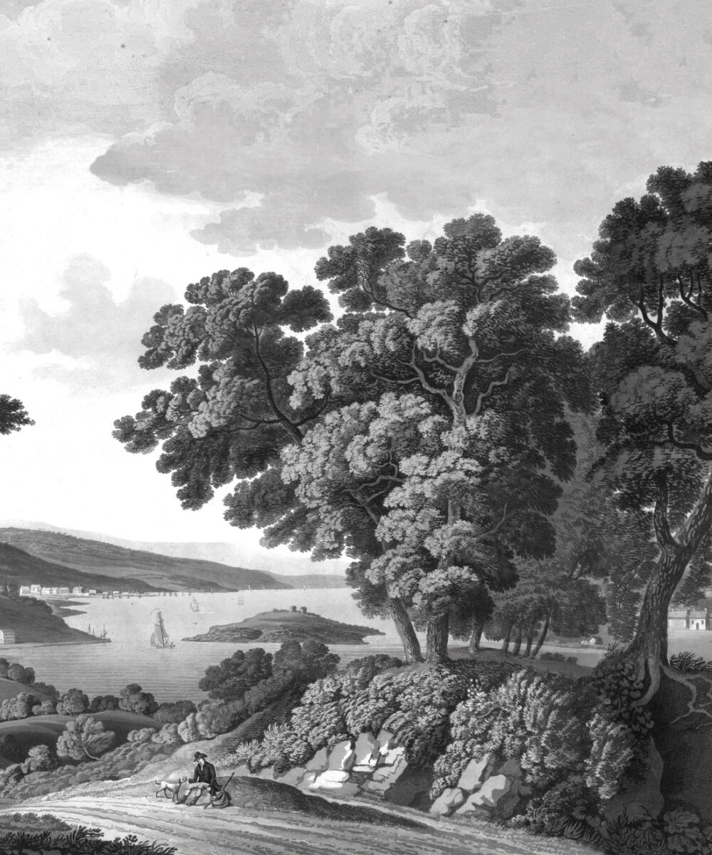 English Landscape Mural • Countryside Scene • Milton & King USA