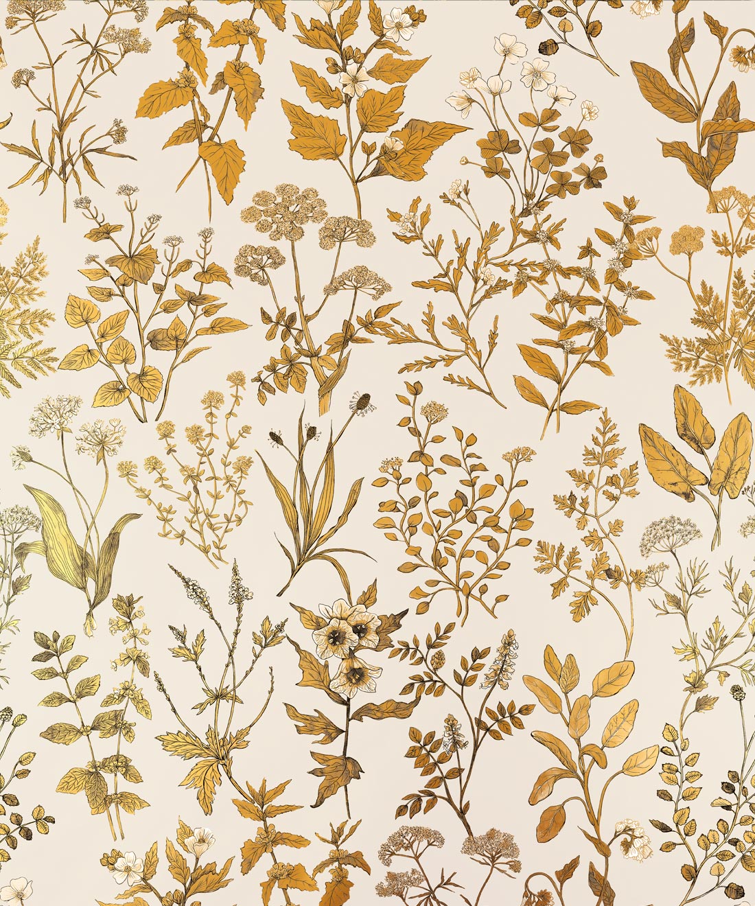 Herbarium Antique Metallic Wallpaper • Botanical • Milton & King