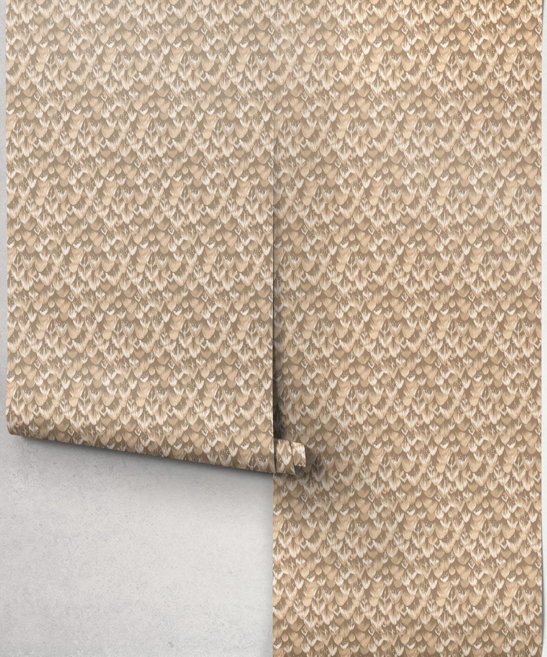 Tail Feather Wallpaper • Feather Scallop Wallpaper • Wild at Heart ...